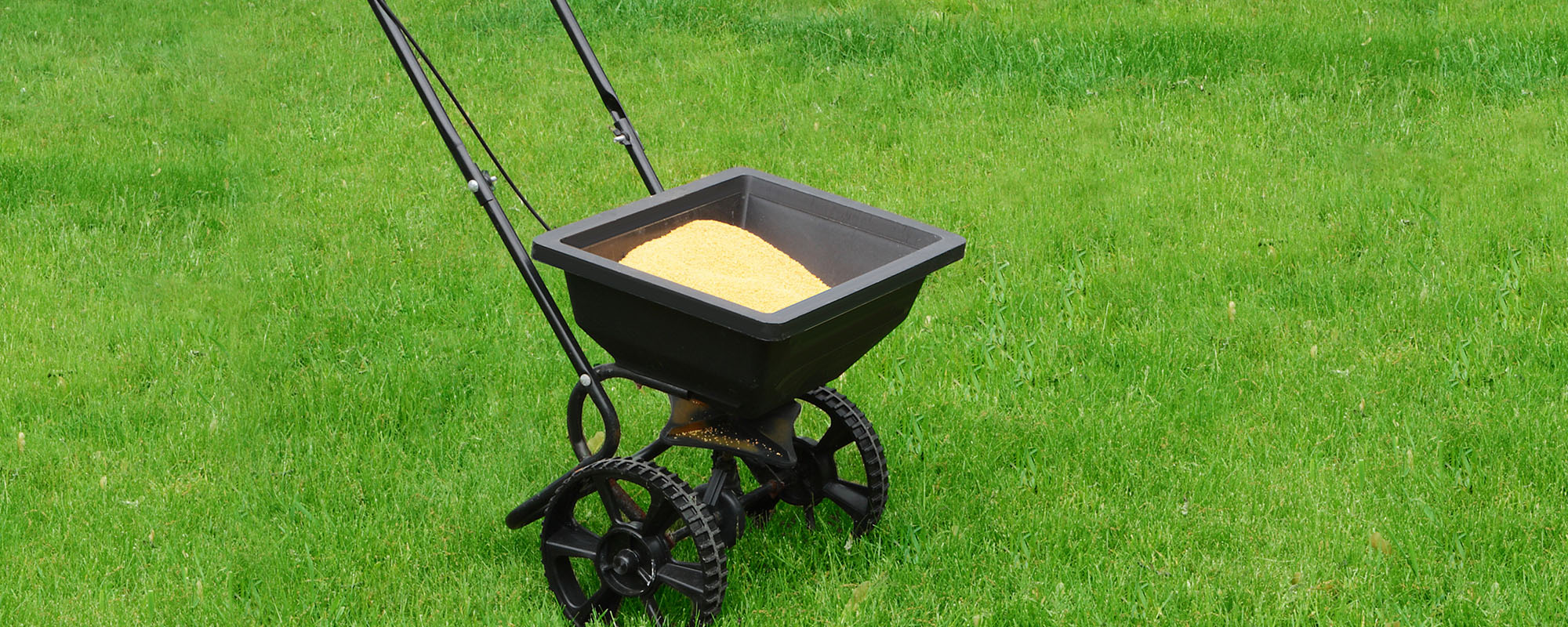 Fertilizer And Grass Seed - Visit Kern Turf Supply