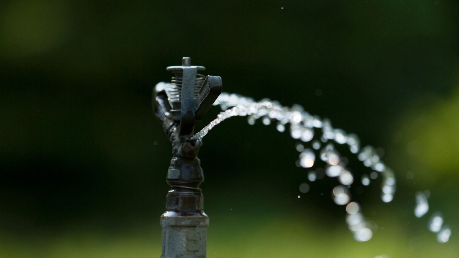 Understanding Different Types of Irrigation Systems Available in ...