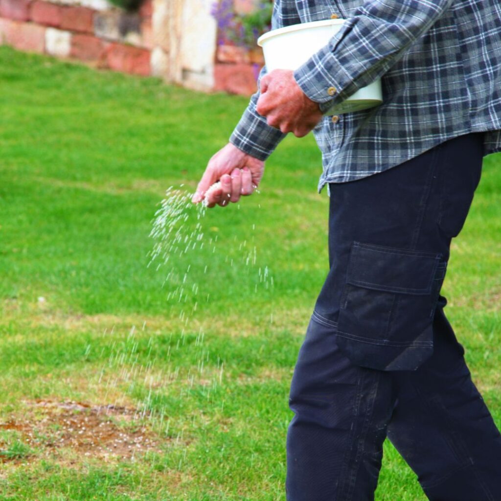 Fertilizer and Seed - Contact Kern Turf Supply, Inc.