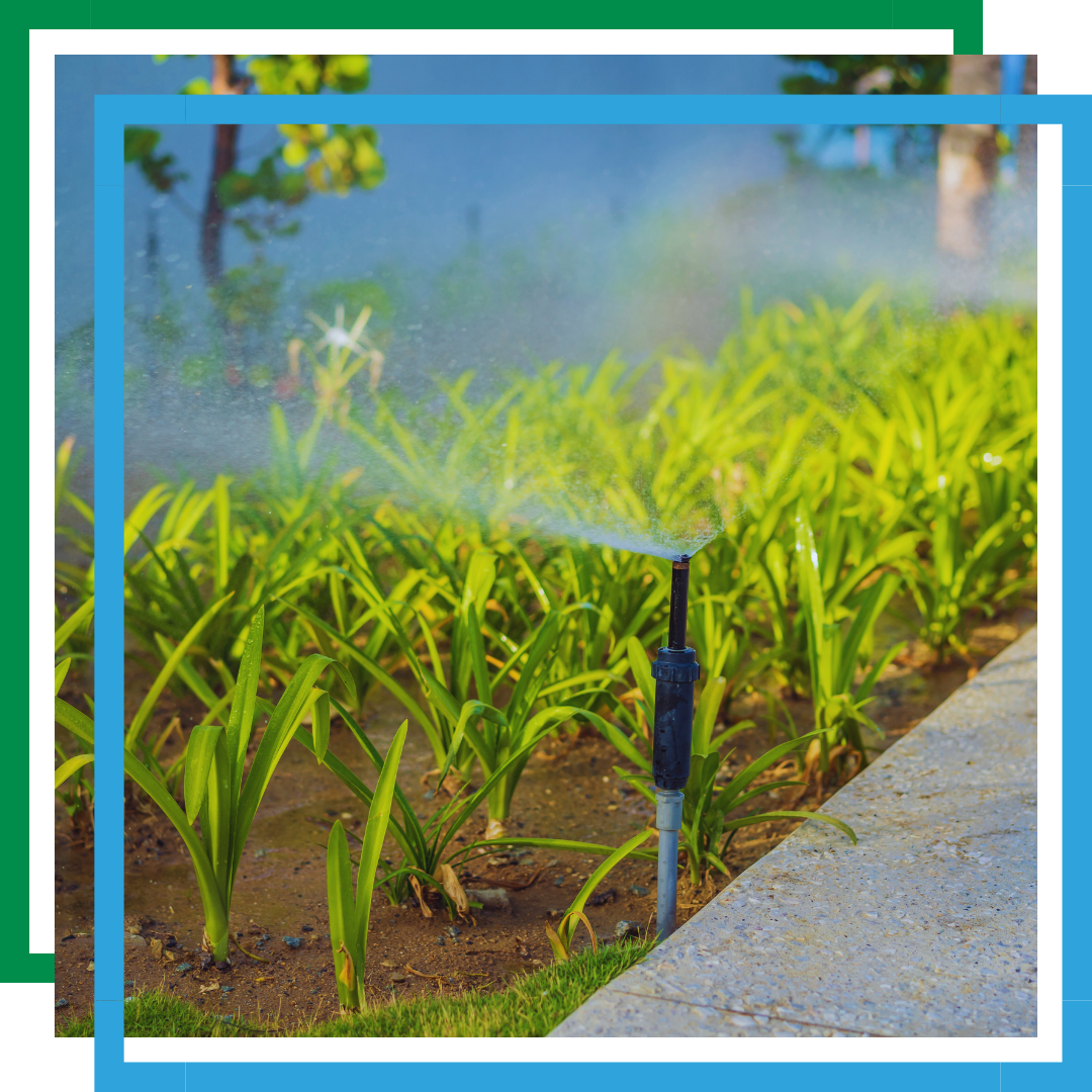 DIY Irrigation Projects - Explore Quality Supplies and Tips